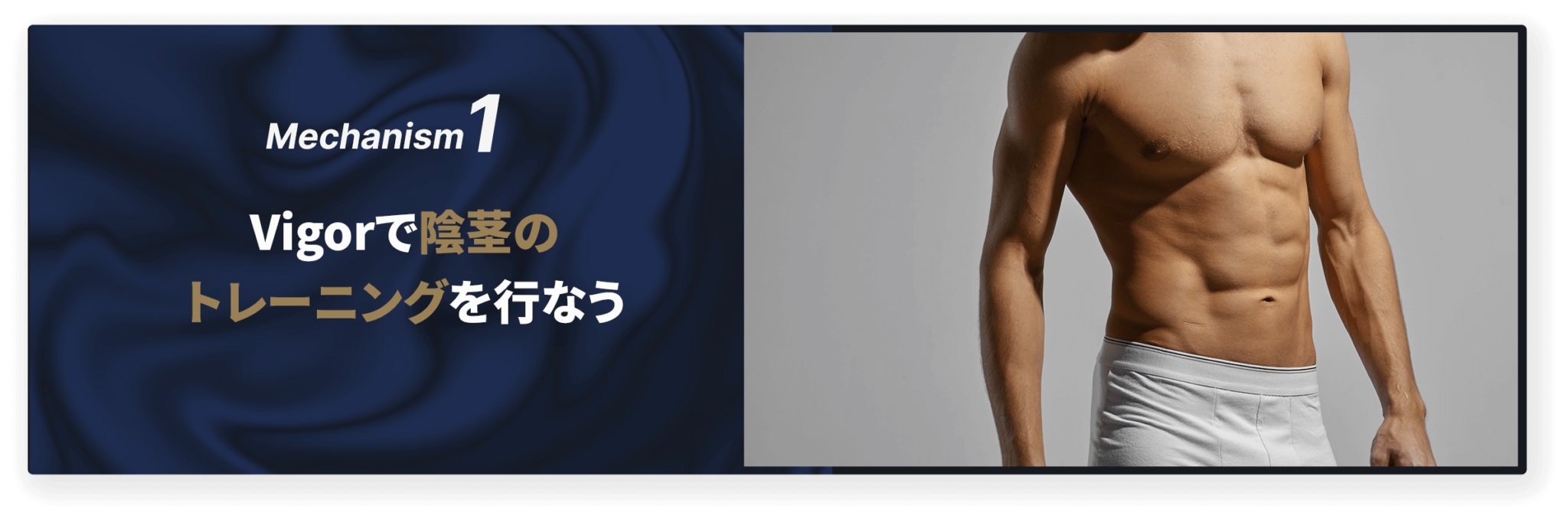 Vigor ビガー | 自宅でできるED治療器具